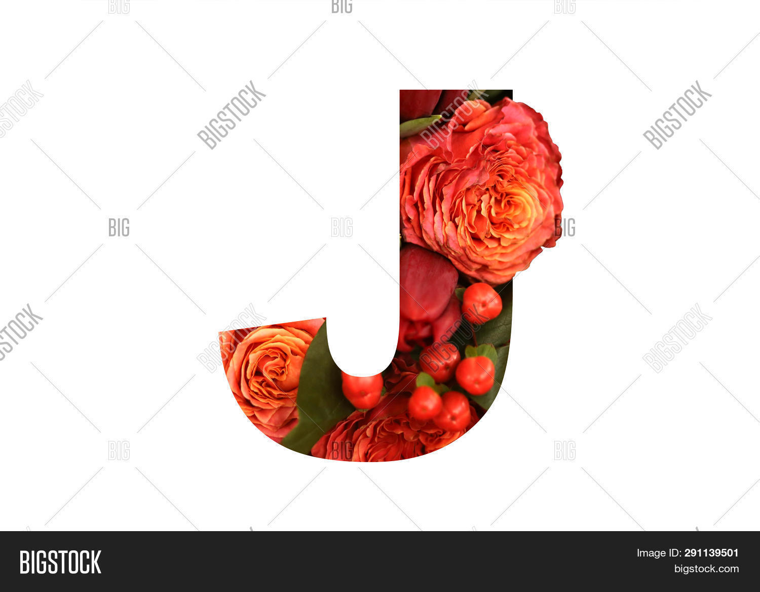 Floral Font Letter J Image & Photo (Free Trial) | Bigstock
