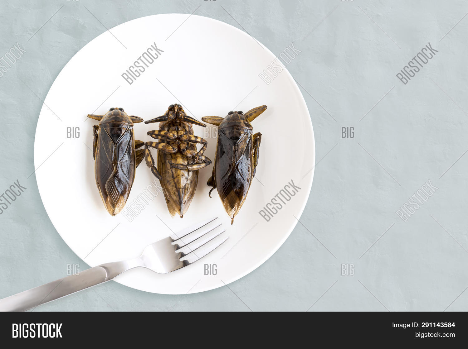Giant Water Bug Edible Image & Photo (Free Trial) | Bigstock