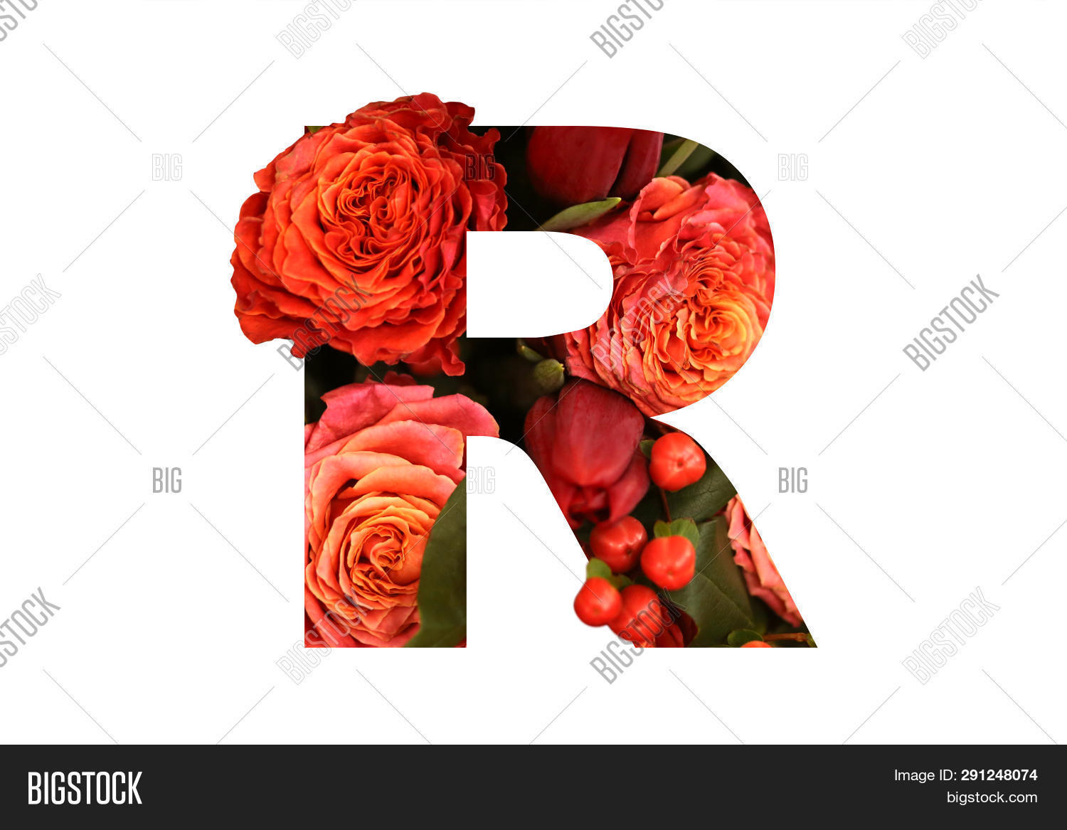 Floral Font Letter R Image & Photo (Free Trial) | Bigstock