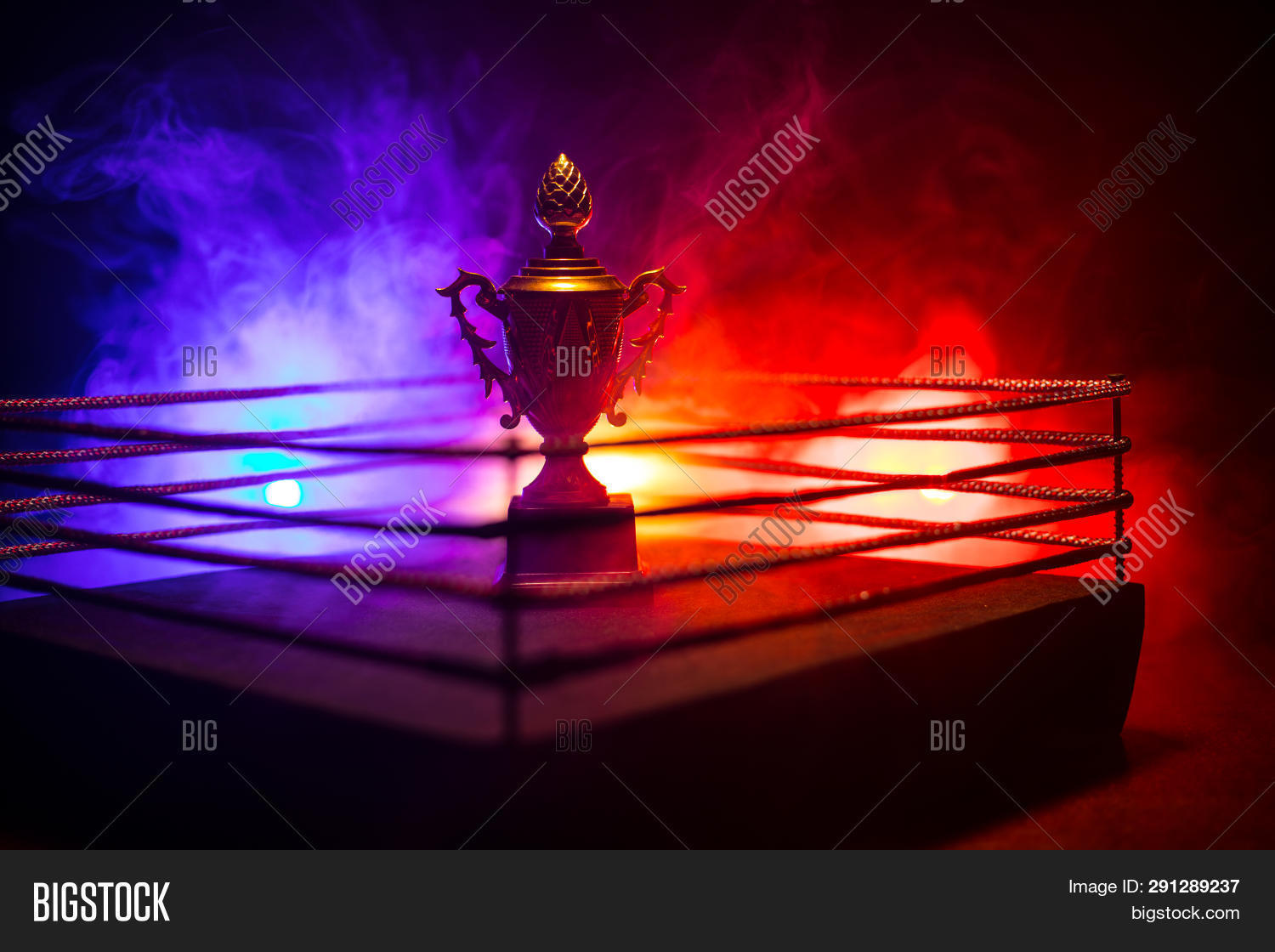 Empty Boxing Ring Red Image & Photo (Free Trial) | Bigstock