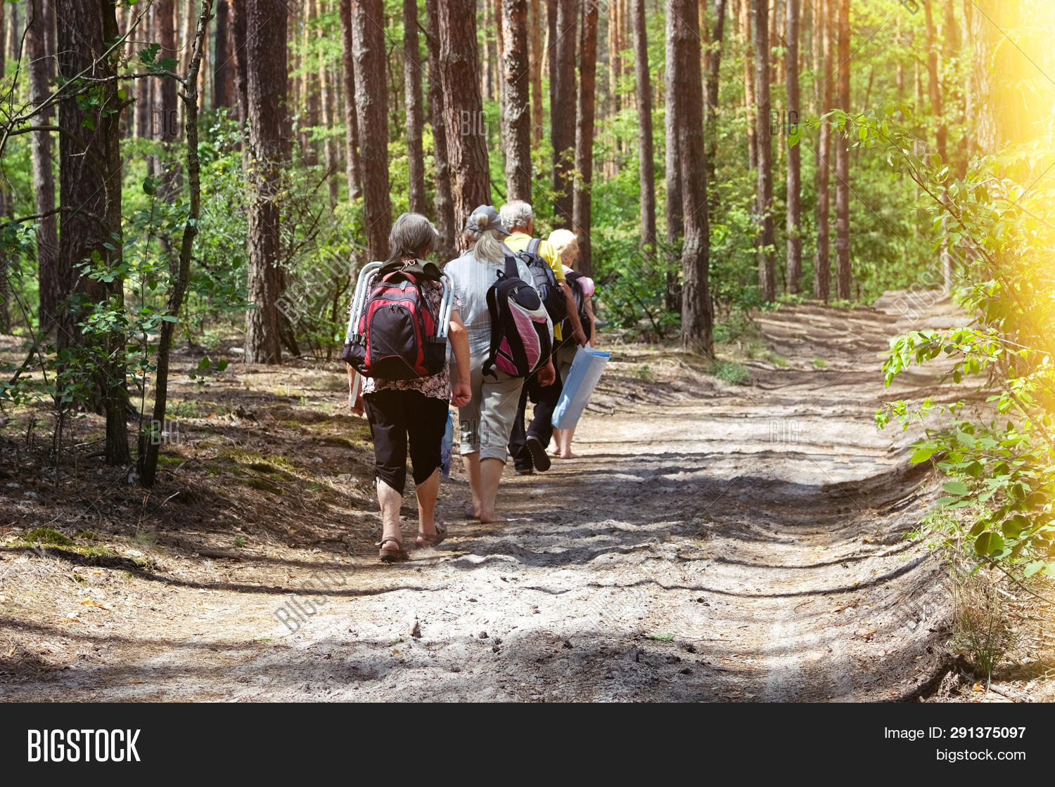 Elderly People Walking Image & Photo (Free Trial) | Bigstock