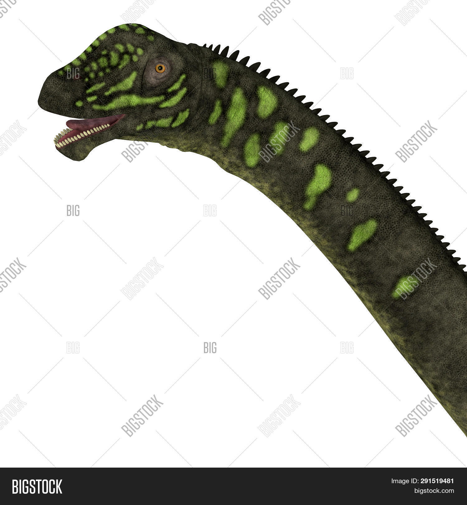 Mamenchisaurus Youngi Image & Photo (Free Trial) | Bigstock