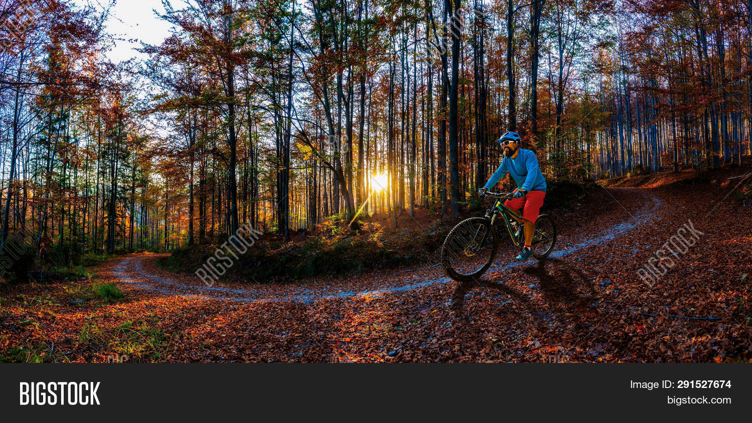 Mountain Biker Riding Image & Photo (Free Trial) | Bigstock