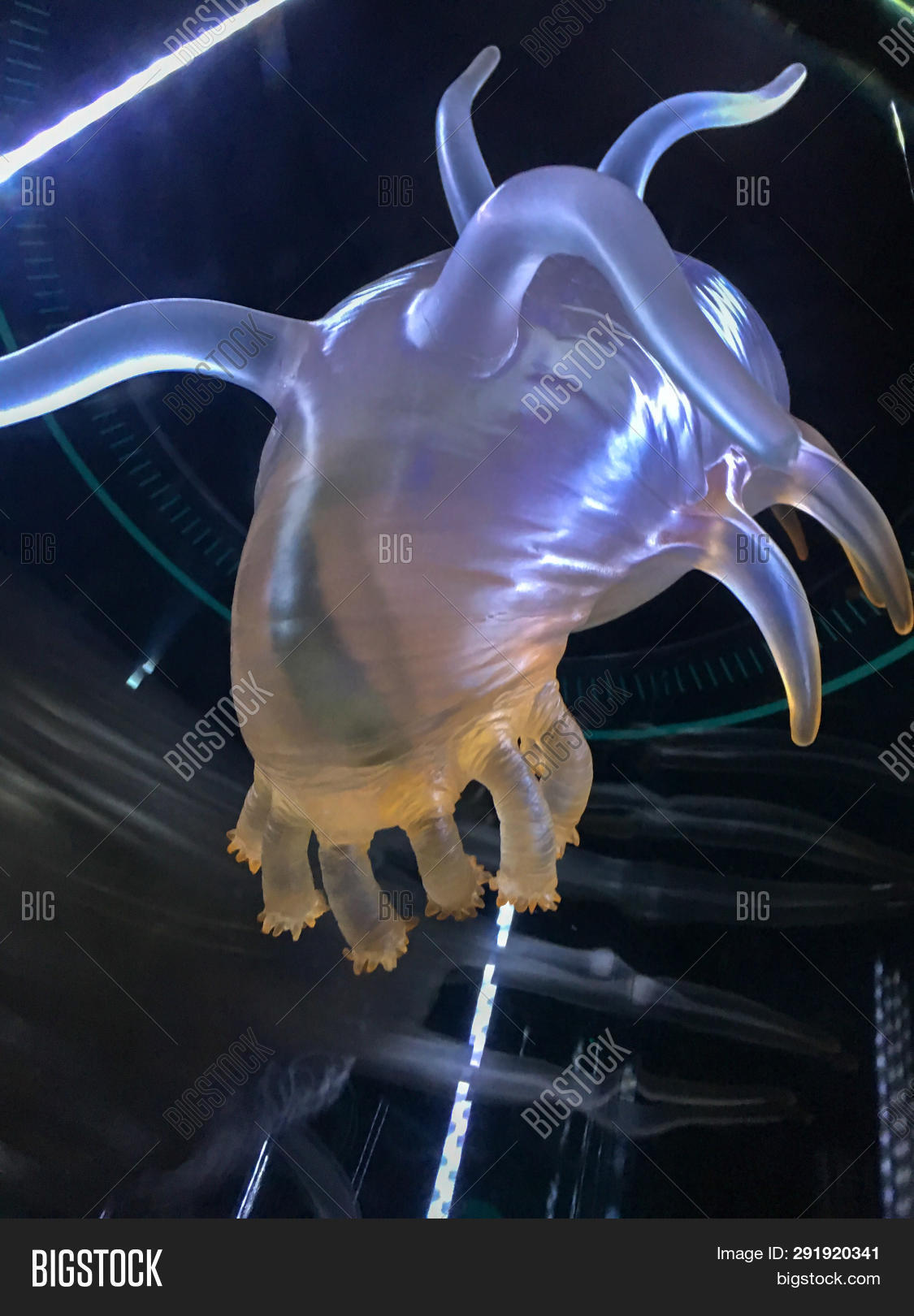 Strange Deep-sea Image & Photo (Free Trial) | Bigstock