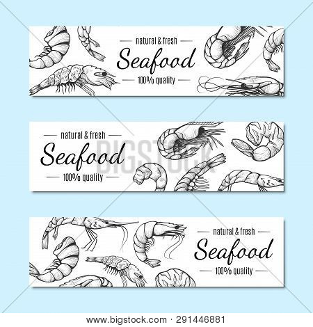 Shrimp Banner, Vector & Photo (Free Trial) | Bigstock