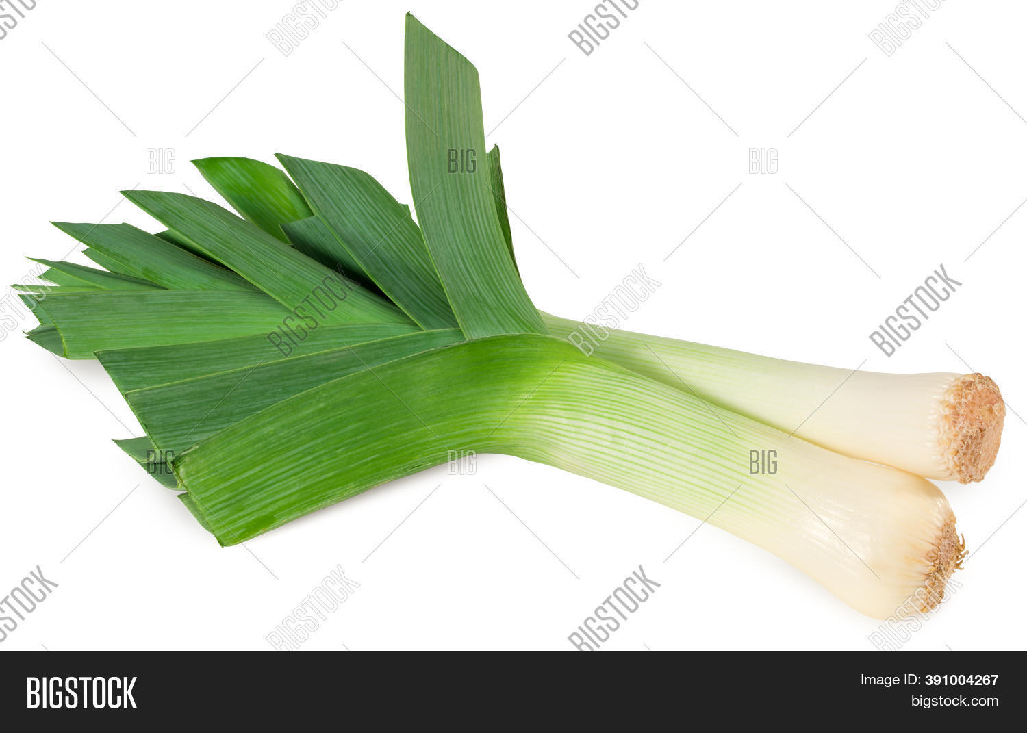 Leek Isolated On White Image & Photo (Free Trial) | Bigstock