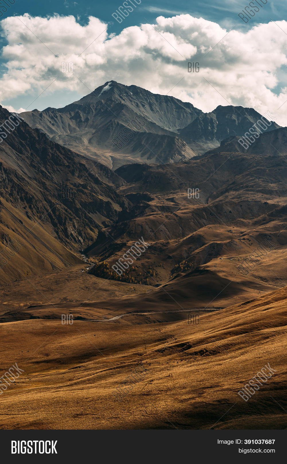 Incredibly Beautiful Image & Photo (Free Trial) | Bigstock