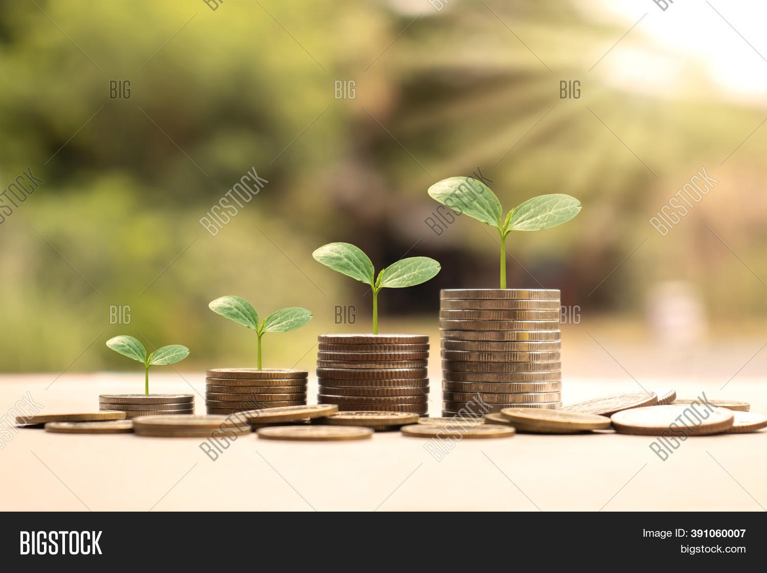 Tree Growing On Pile Image & Photo (Free Trial) | Bigstock