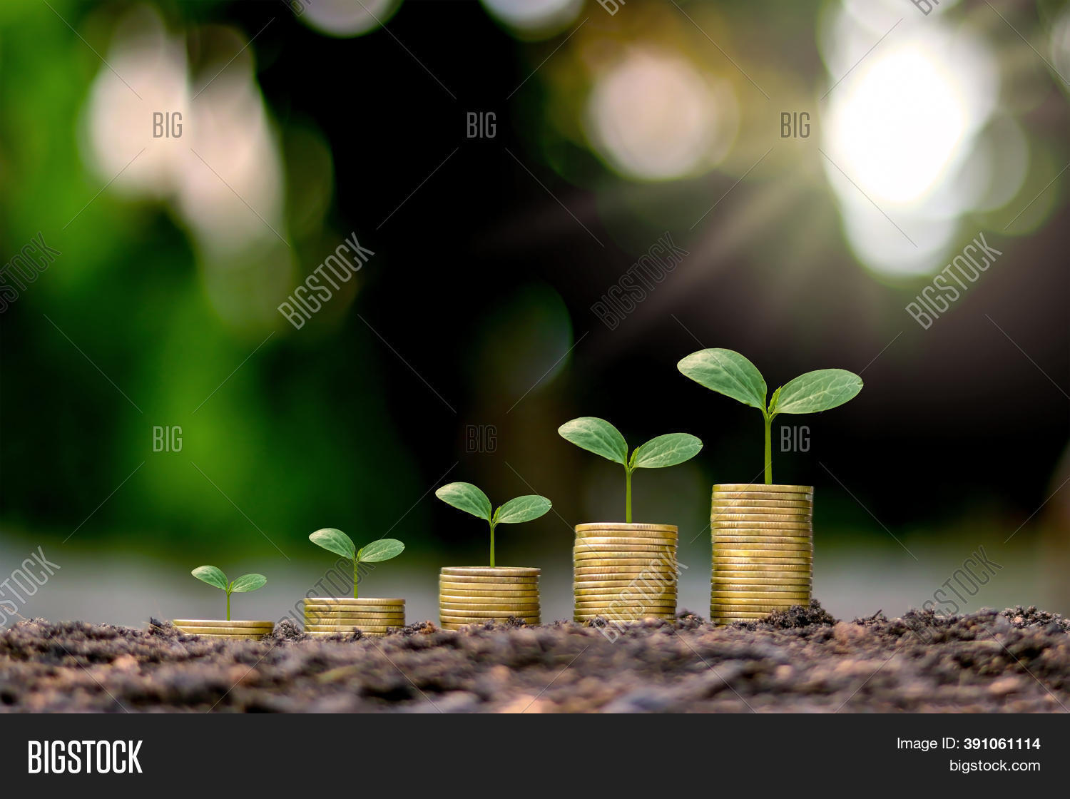 Coins Plants Grown On Image & Photo (Free Trial) | Bigstock