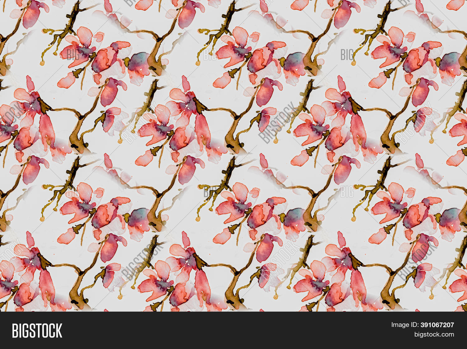 Chinese Flower Trees. Image & Photo (Free Trial) | Bigstock