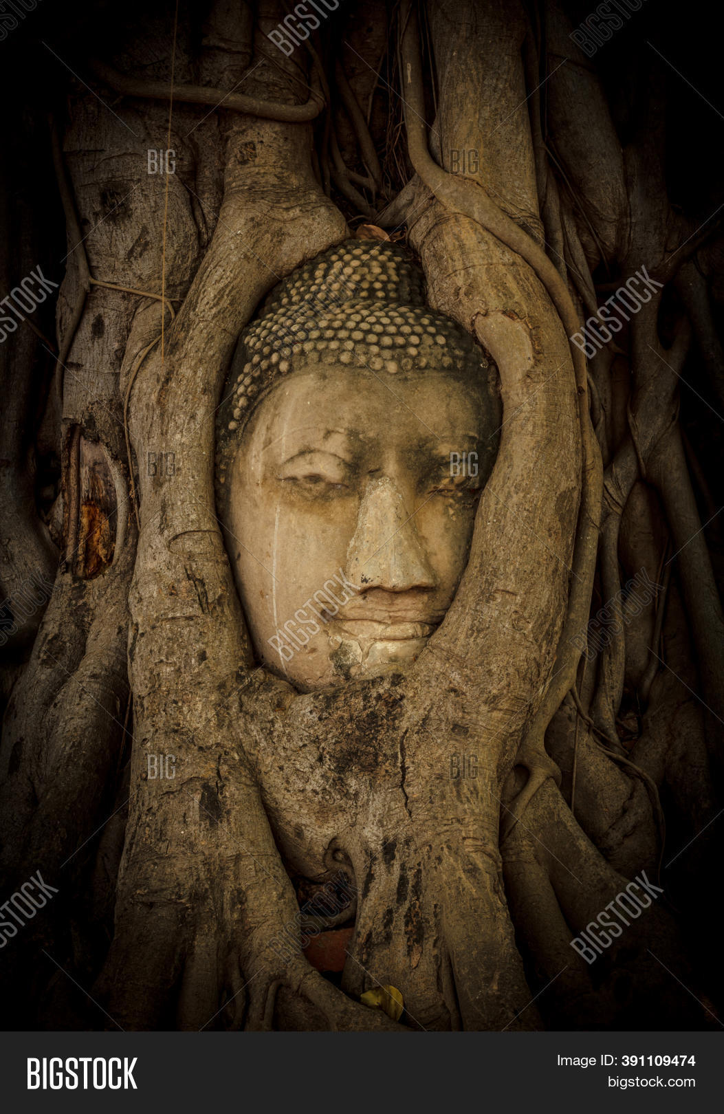 Old Head Buddha Image Image & Photo (Free Trial) | Bigstock