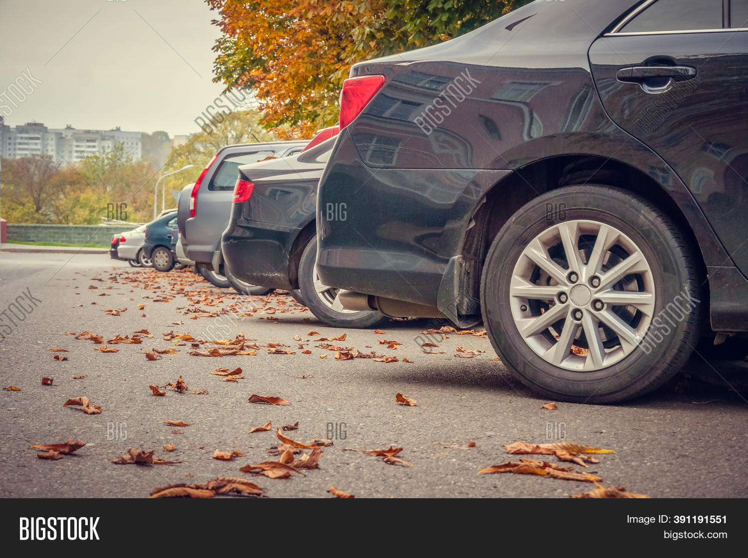 Rear Bumpers Cars Image & Photo (Free Trial) | Bigstock