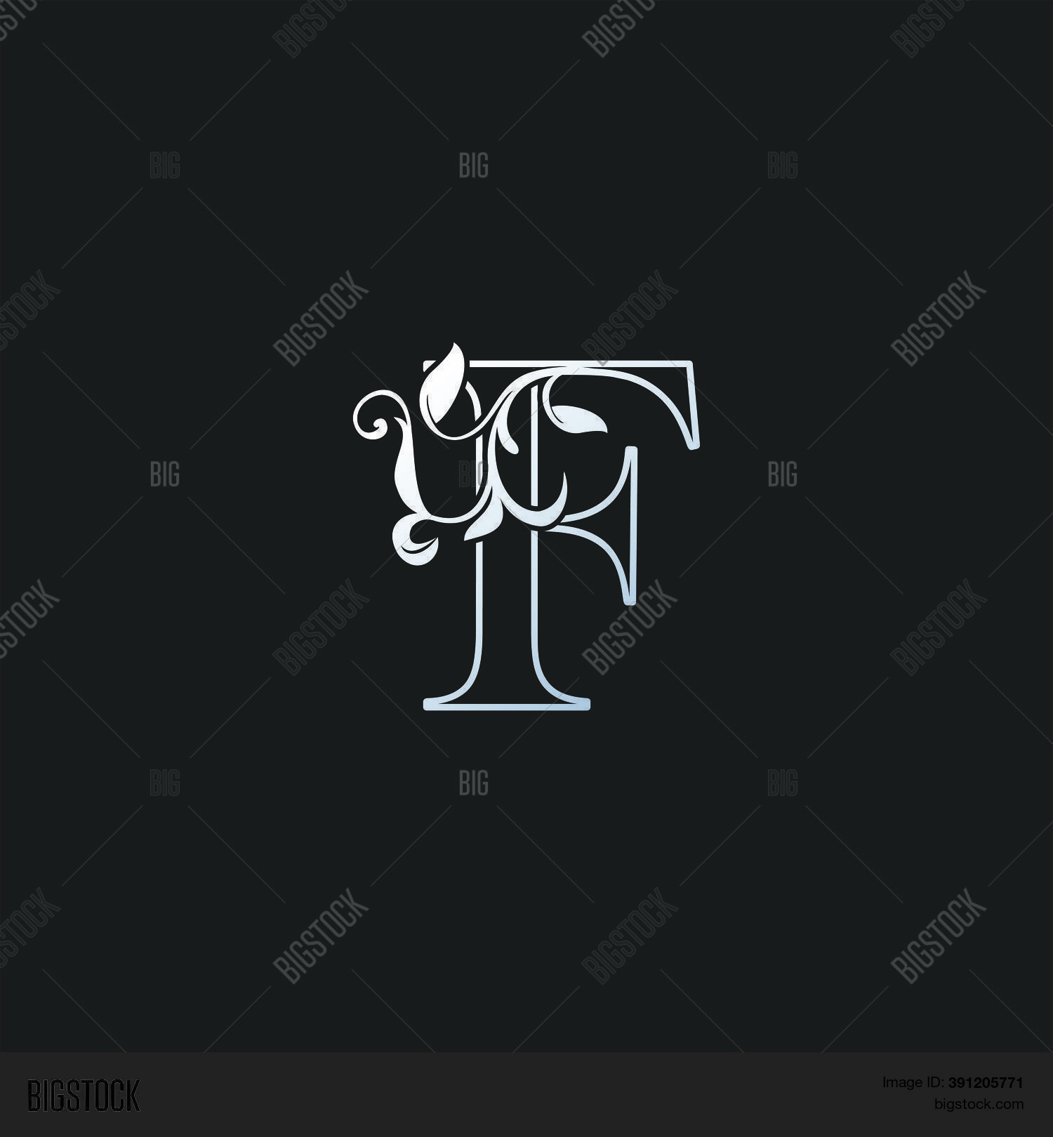 F Letter Outline Vector & Photo (Free Trial) | Bigstock