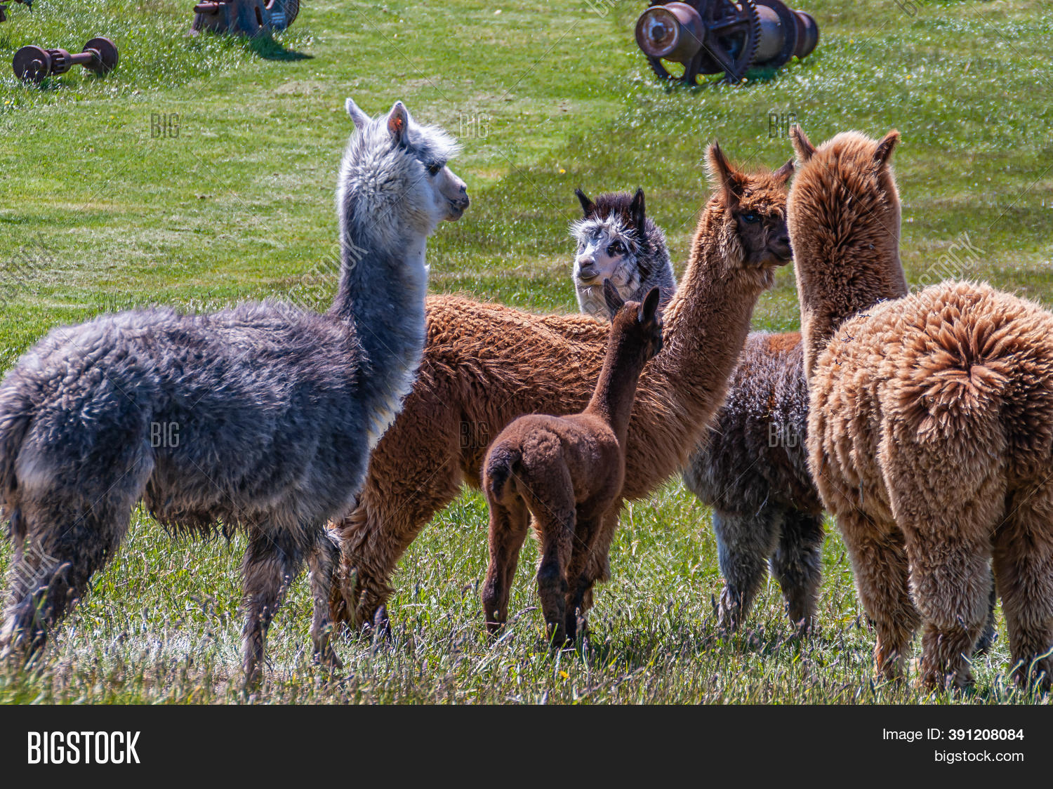 Riesco Island, Chile Image & Photo (Free Trial) | Bigstock