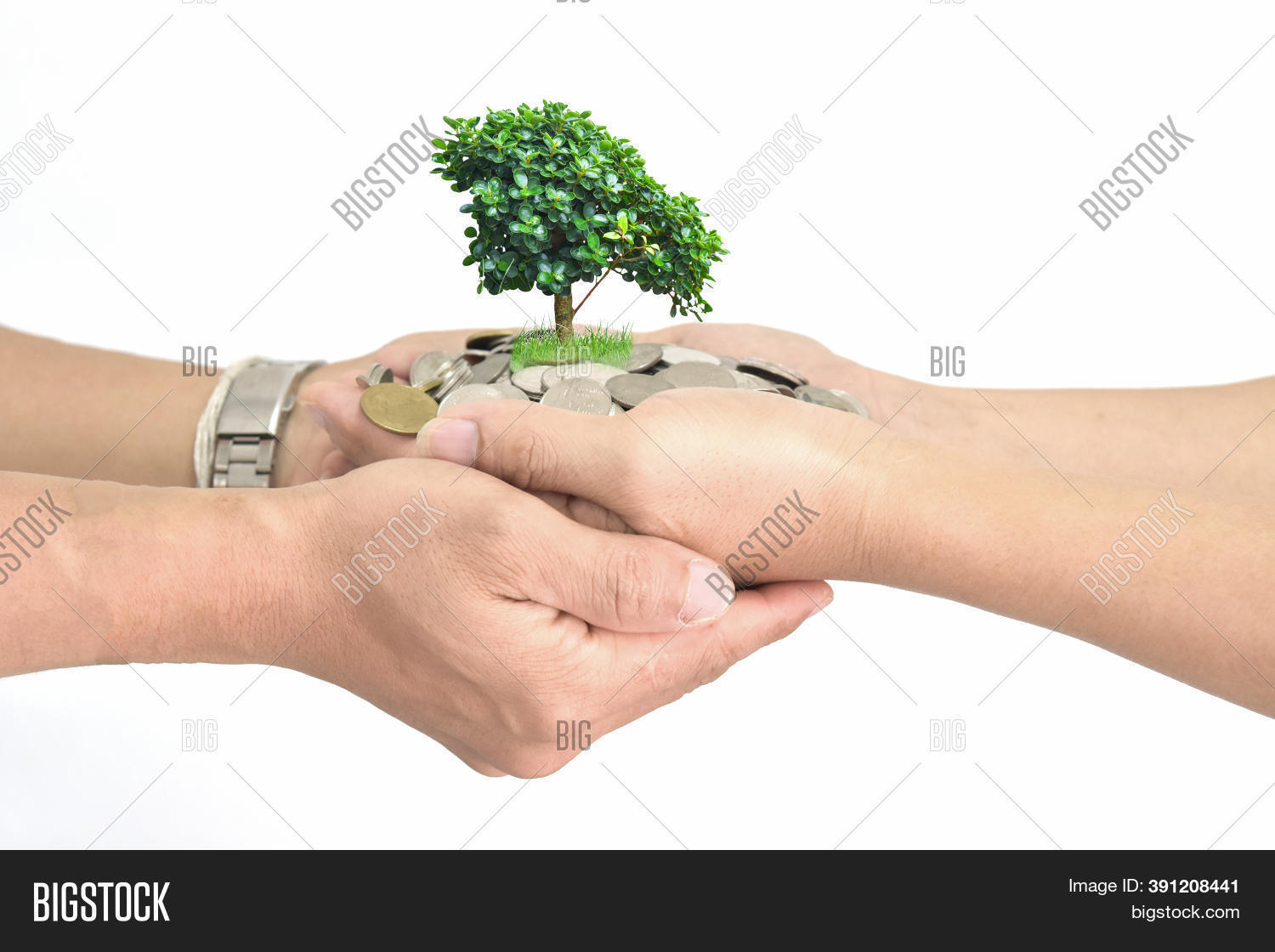 Hands Holding Coin Image & Photo (Free Trial) | Bigstock
