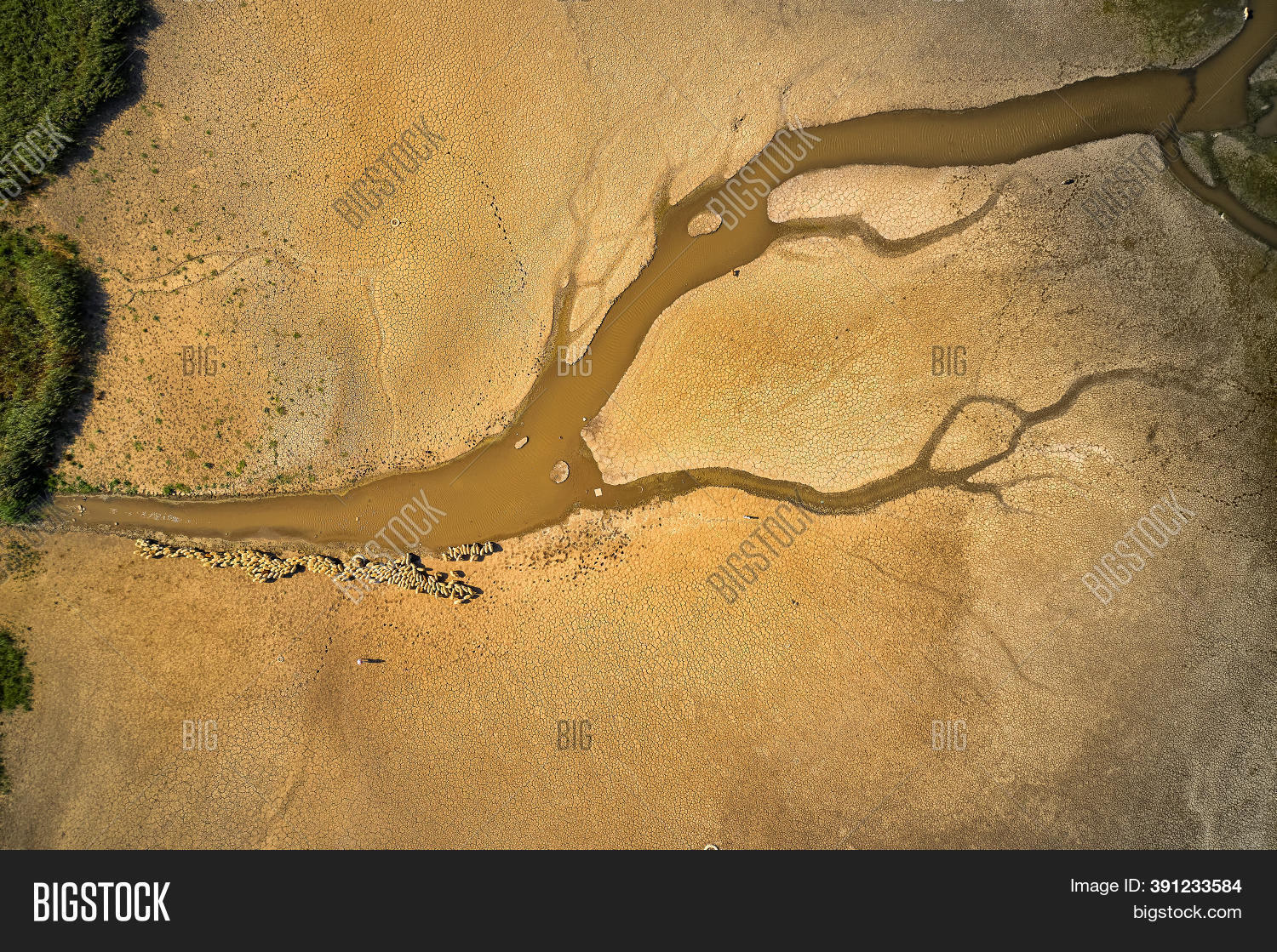 Dry Lake Swamp Process Image & Photo (Free Trial) | Bigstock