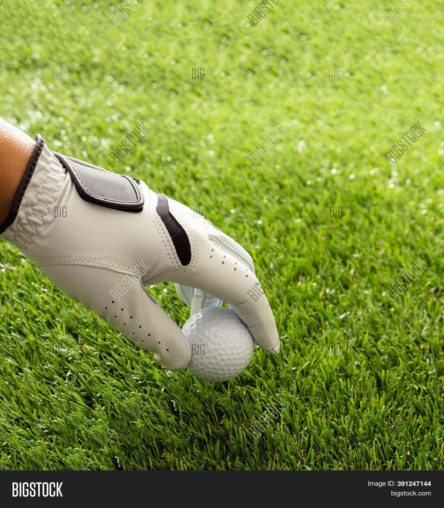 Hand Golf Glove Image & Photo (Free Trial) | Bigstock