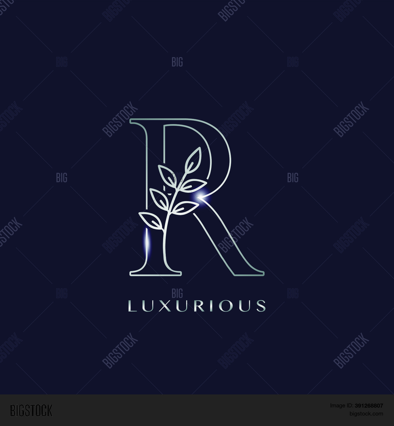 Silver Luxurious Vector & Photo (Free Trial) | Bigstock