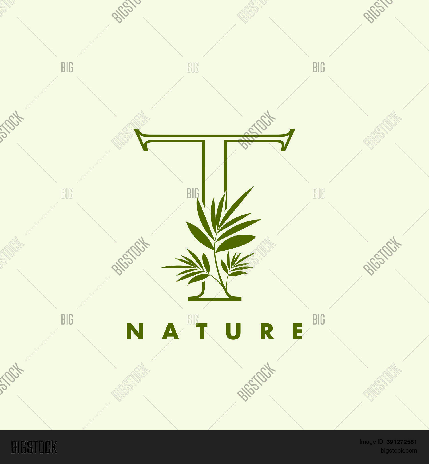 Outline Tropical Vector & Photo (Free Trial) | Bigstock