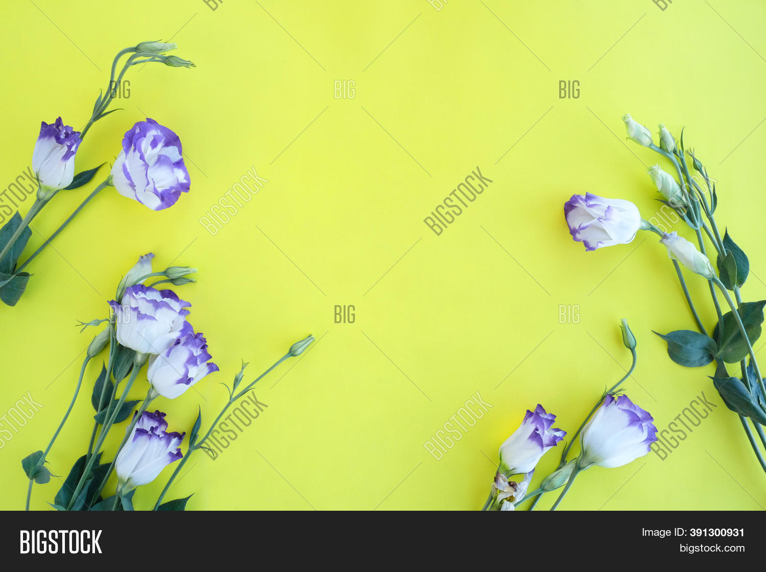 Flat Composition Image & Photo (Free Trial) | Bigstock