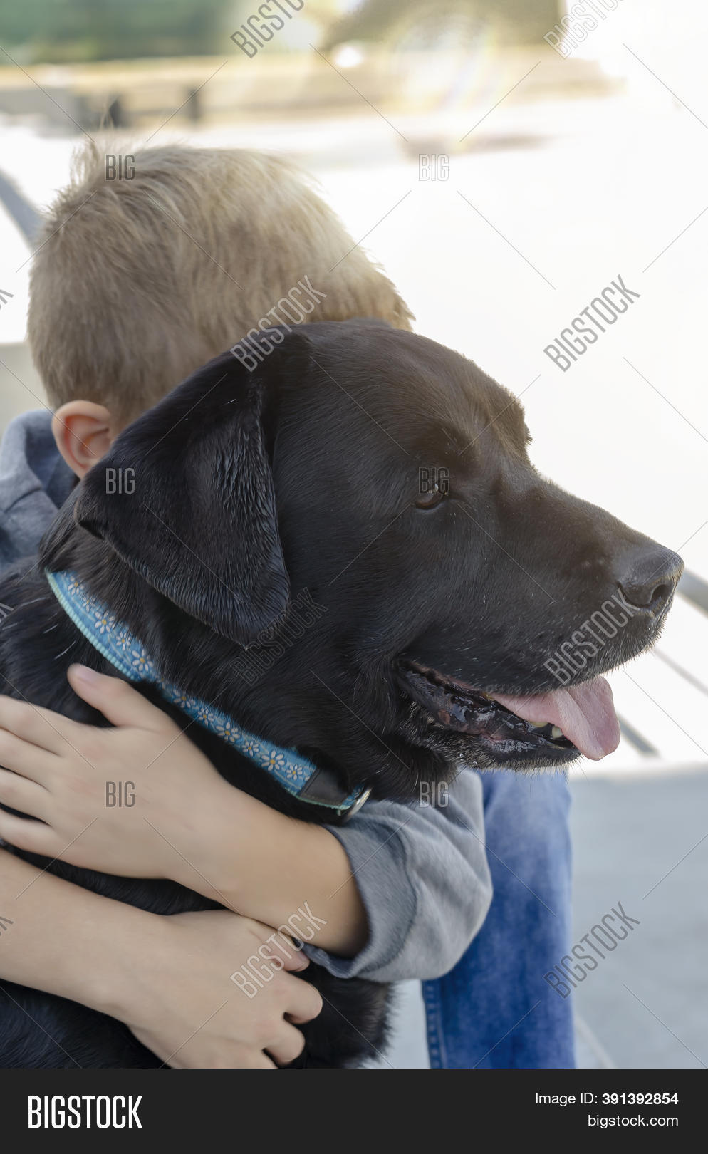 Boy Hugs Black Dog Image & Photo (Free Trial) | Bigstock