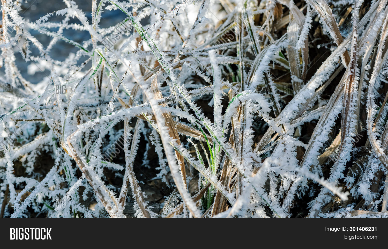 Beautiful Natural Image & Photo (Free Trial) | Bigstock