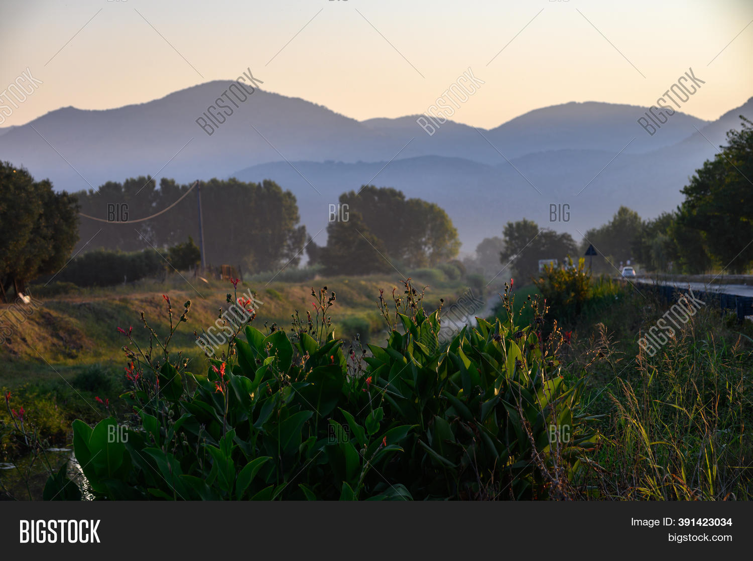 View On Very Fertile Image & Photo (Free Trial) | Bigstock