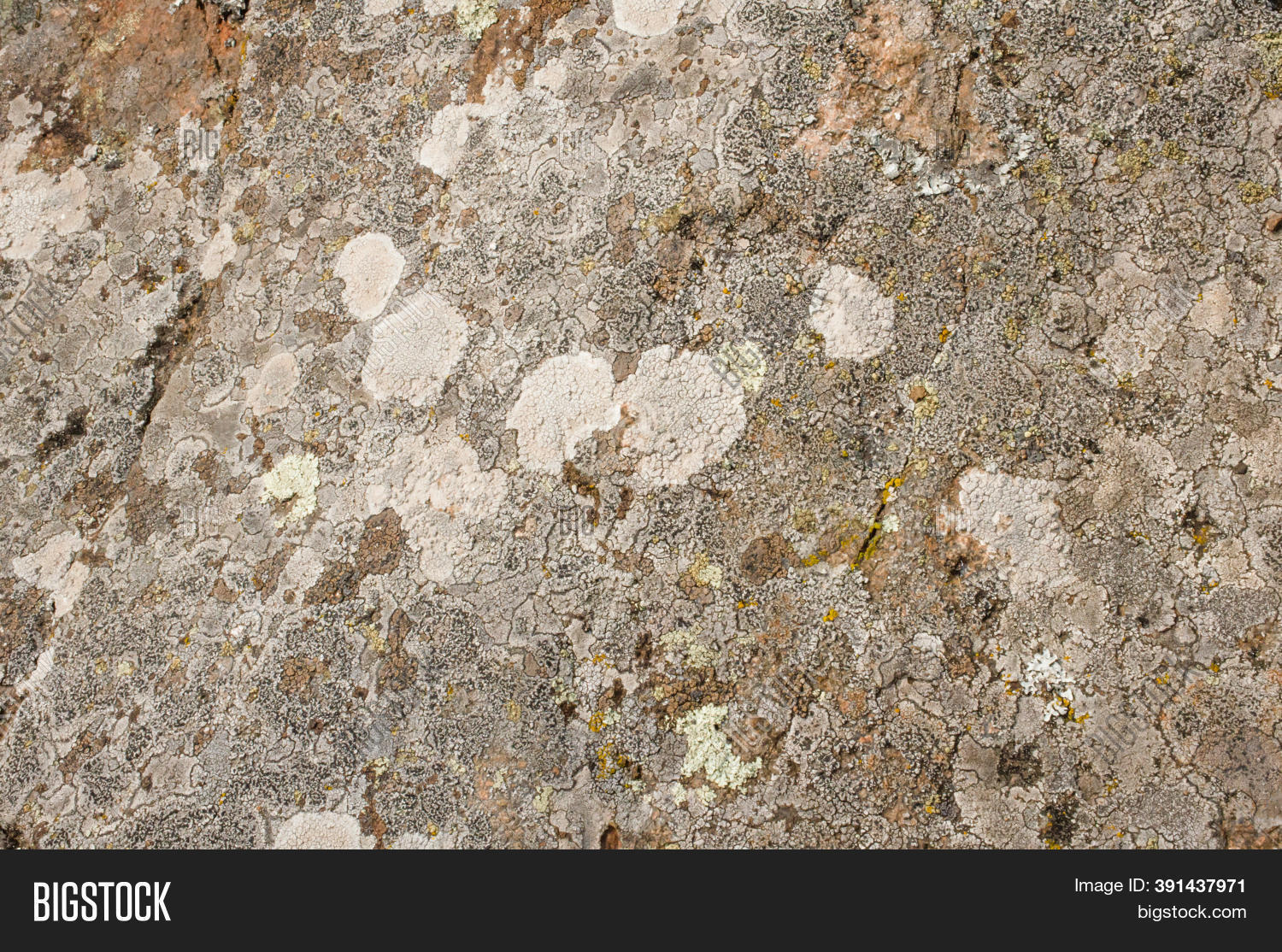 Background Gabbro Image & Photo (Free Trial) | Bigstock