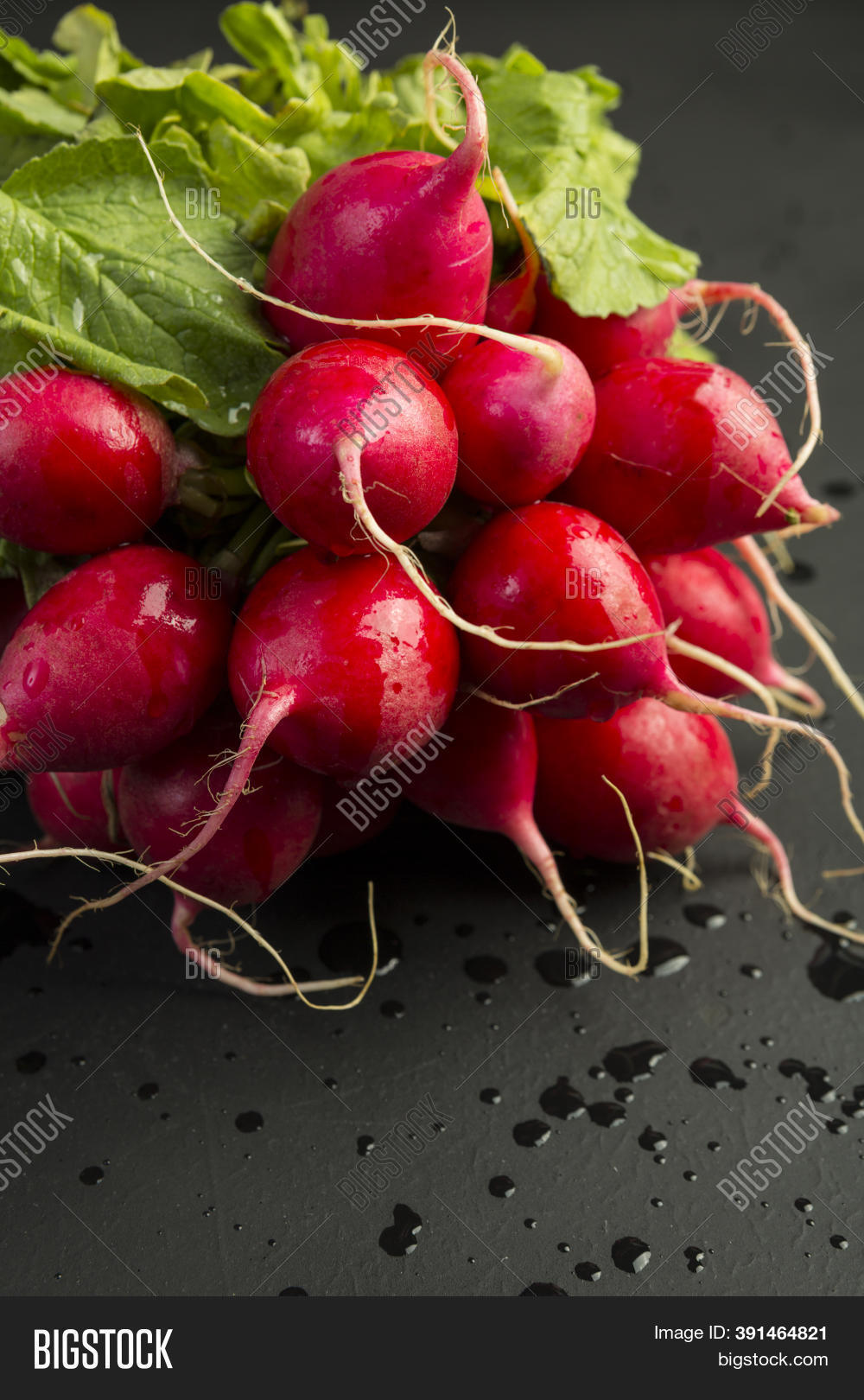 Bunch Radishes. Image & Photo (Free Trial) | Bigstock