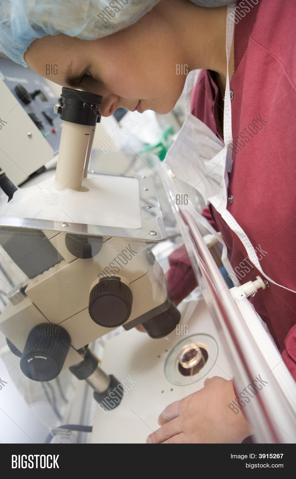 Embryologist Adding Image & Photo (Free Trial) | Bigstock