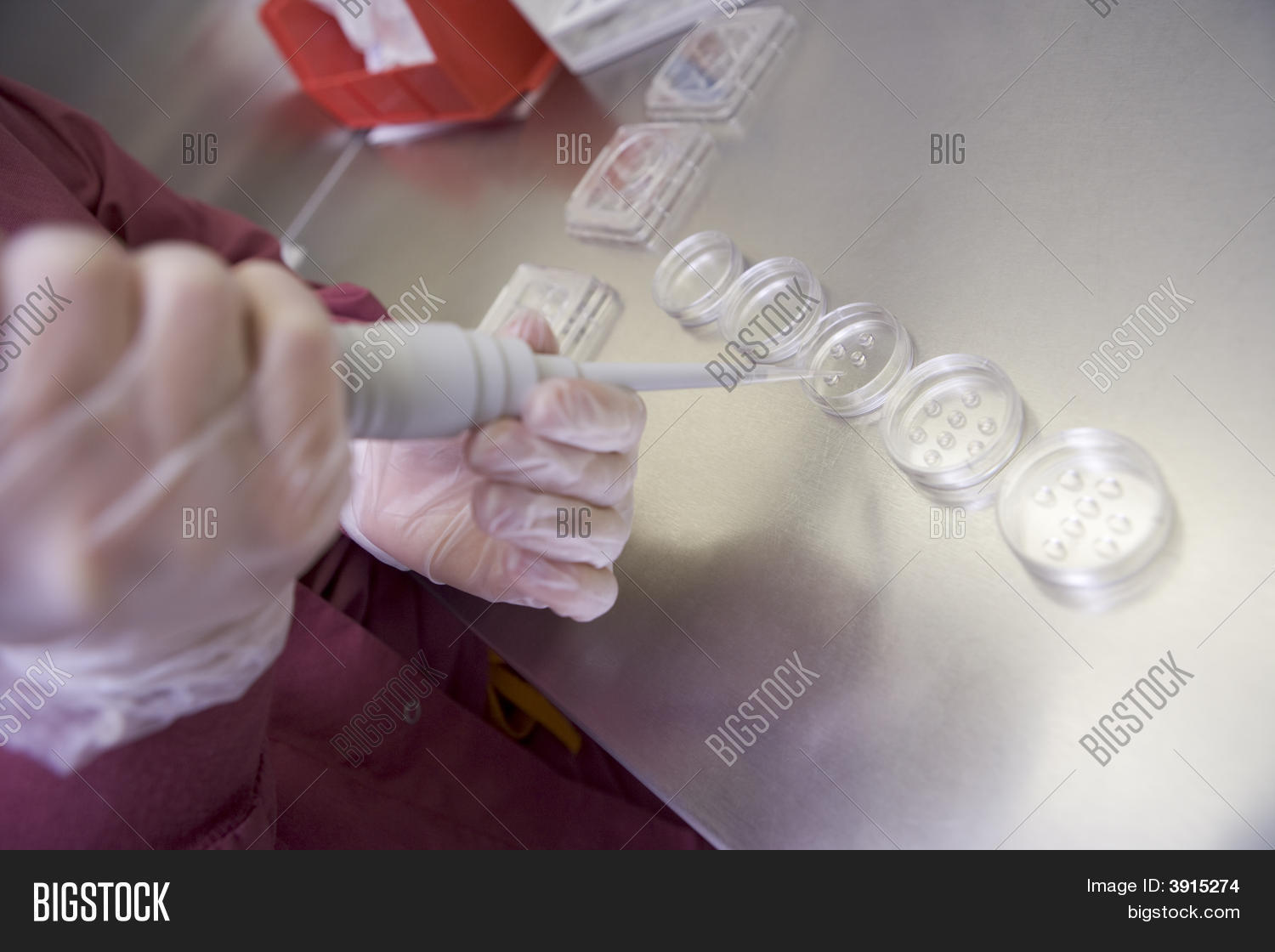 Embryologist Preparing Image & Photo (Free Trial) | Bigstock