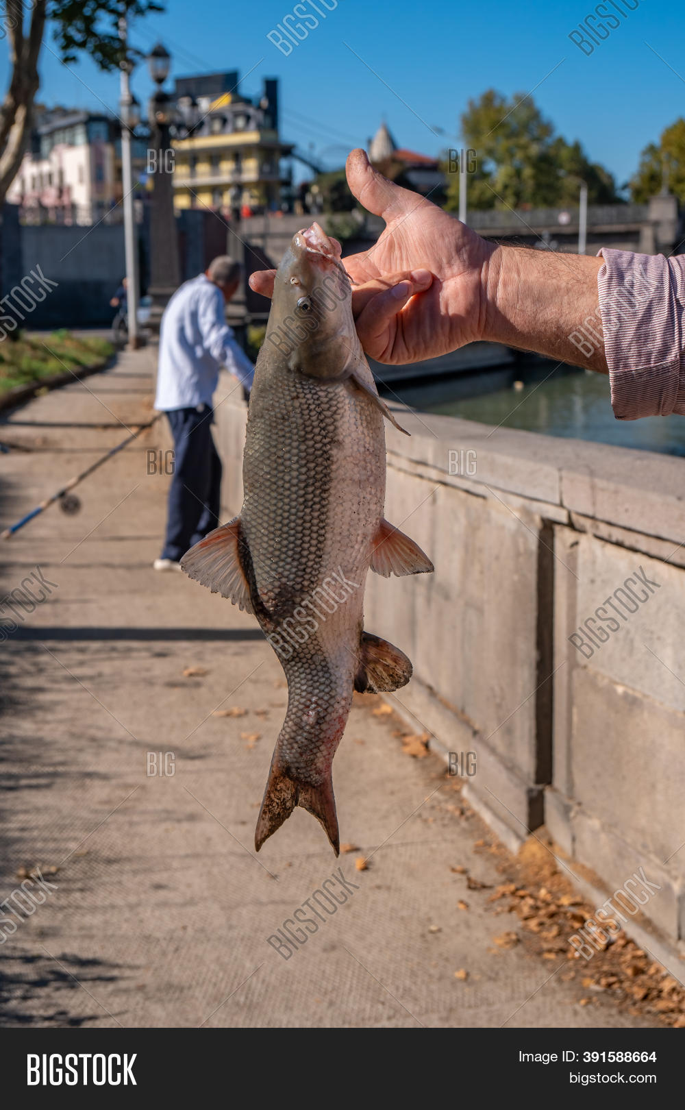 Caught Fish Hand Image & Photo (Free Trial) | Bigstock