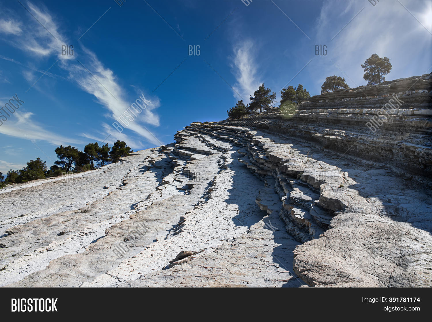 Top Cliff Trees Image & Photo (Free Trial) | Bigstock
