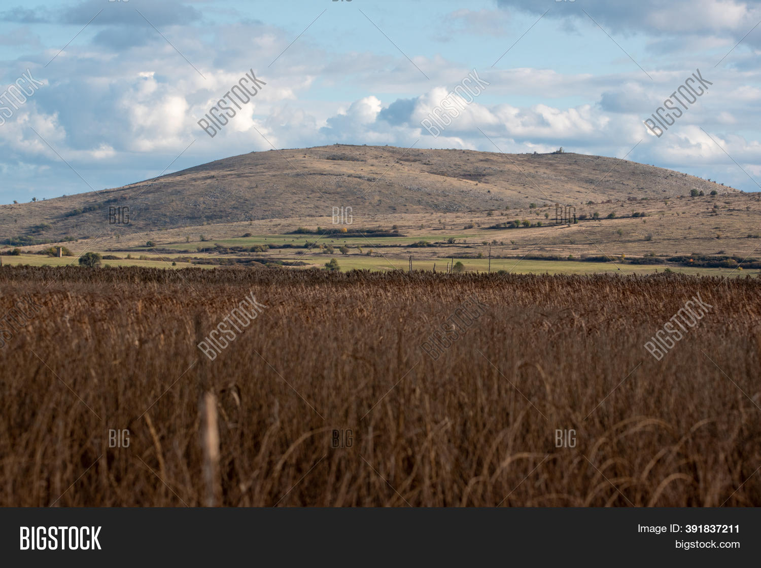 Large Farmland Hills Image & Photo (Free Trial) | Bigstock