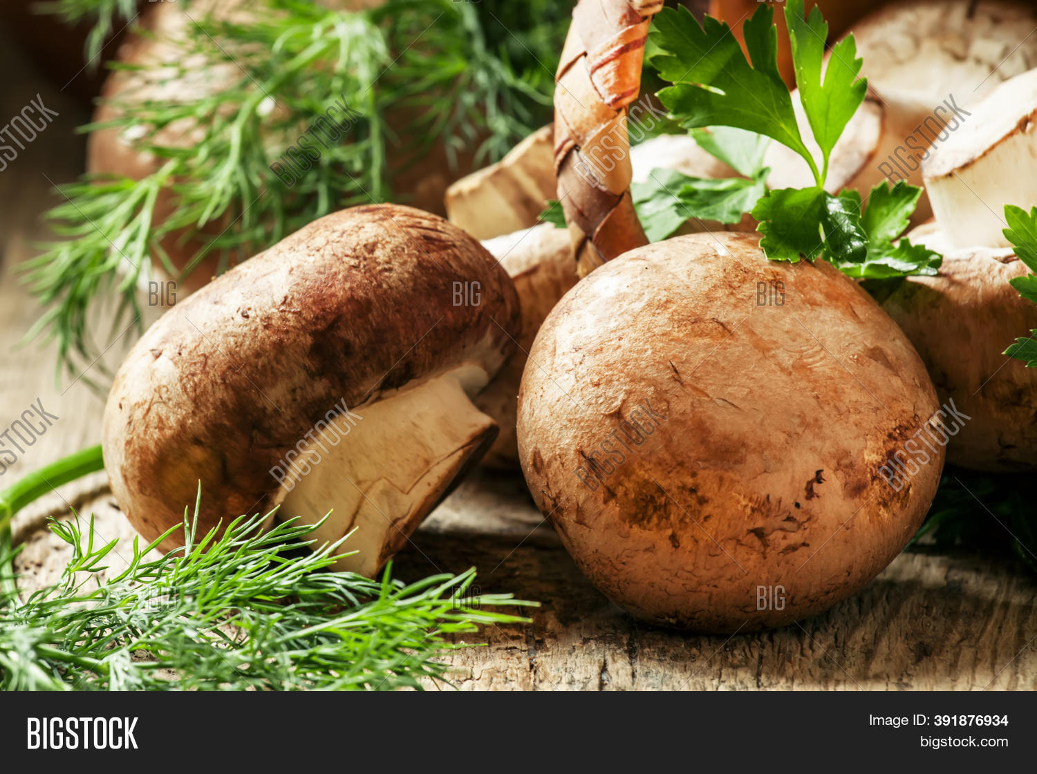 Brown Mushrooms, Image & Photo (Free Trial) | Bigstock