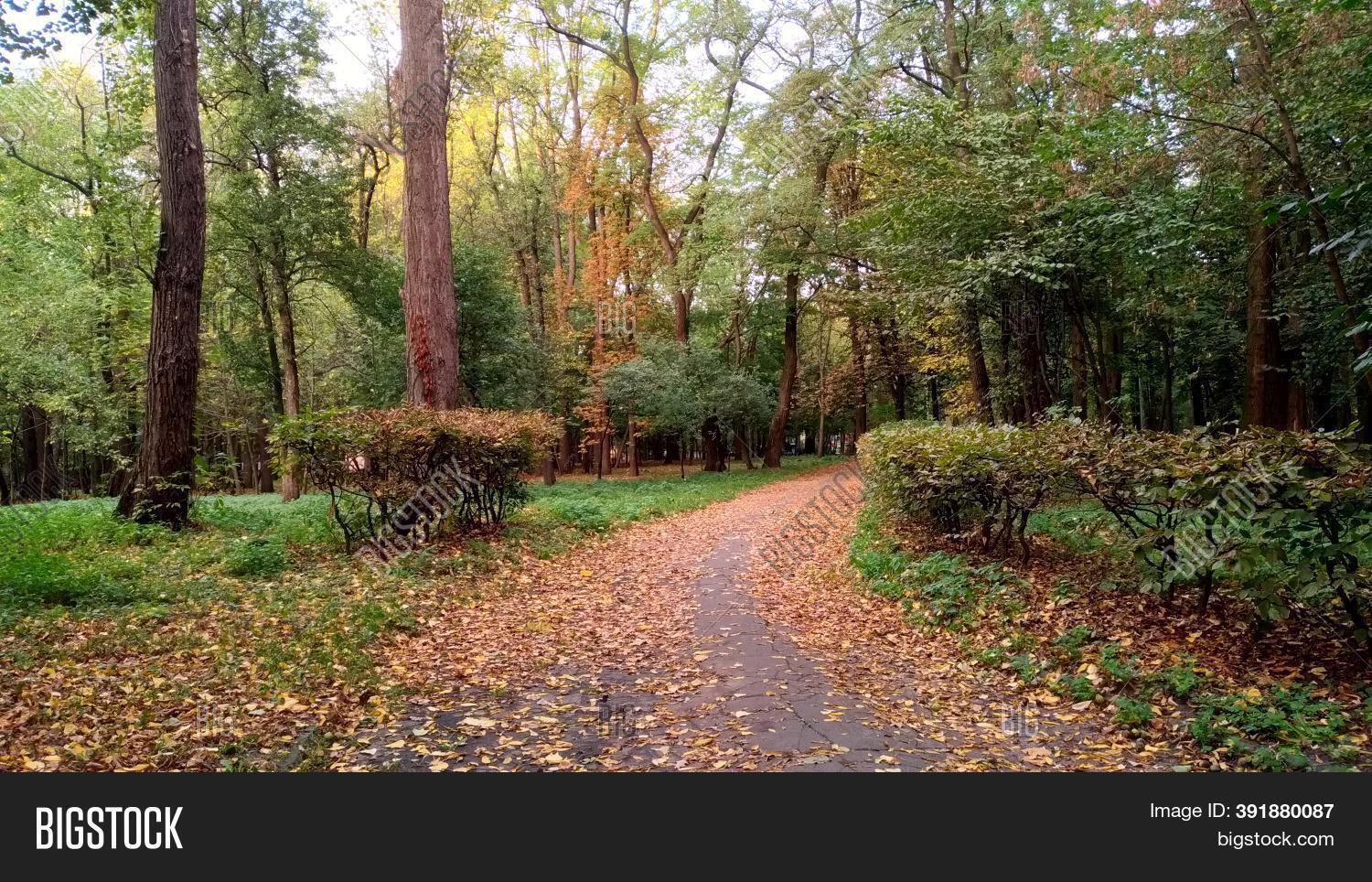 Autumn Park. Landscape Image & Photo (Free Trial) | Bigstock