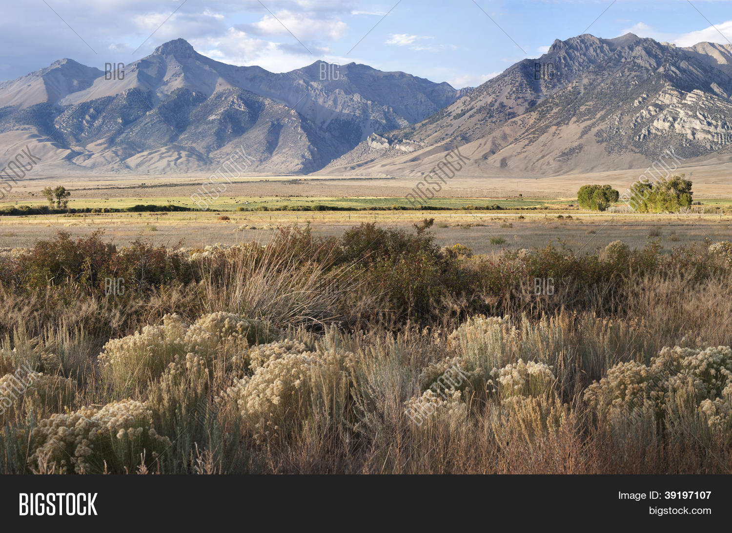 Mackay Idaho Image & Photo (Free Trial) | Bigstock