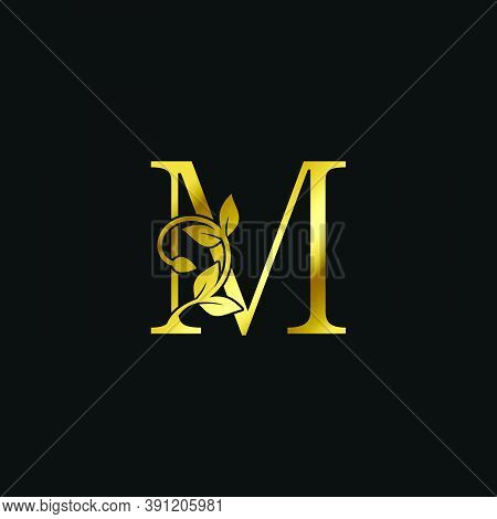 Golden M Letter Vector & Photo (Free Trial) | Bigstock