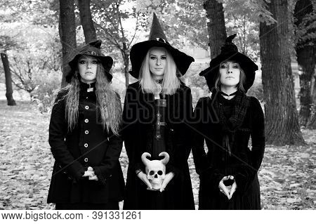 Coven Witches, Group Image & Photo (Free Trial) | Bigstock
