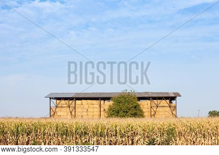 Barn Full Haystacks Image & Photo (Free Trial) | Bigstock