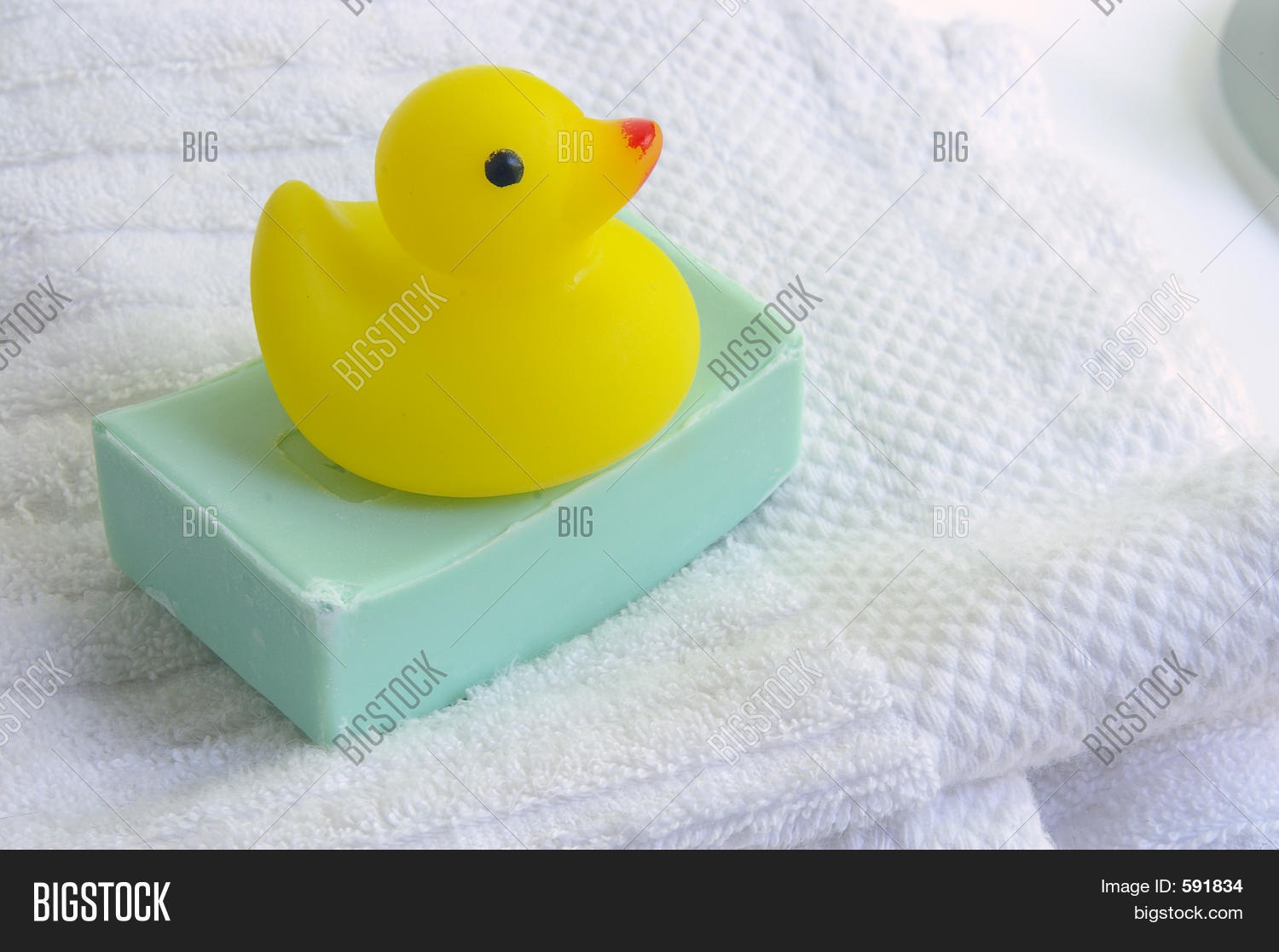 Duck Soap Image & Photo (Free Trial) | Bigstock