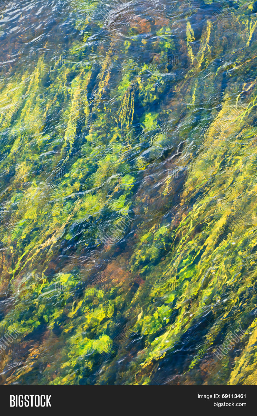 Algae River Image & Photo (Free Trial) | Bigstock