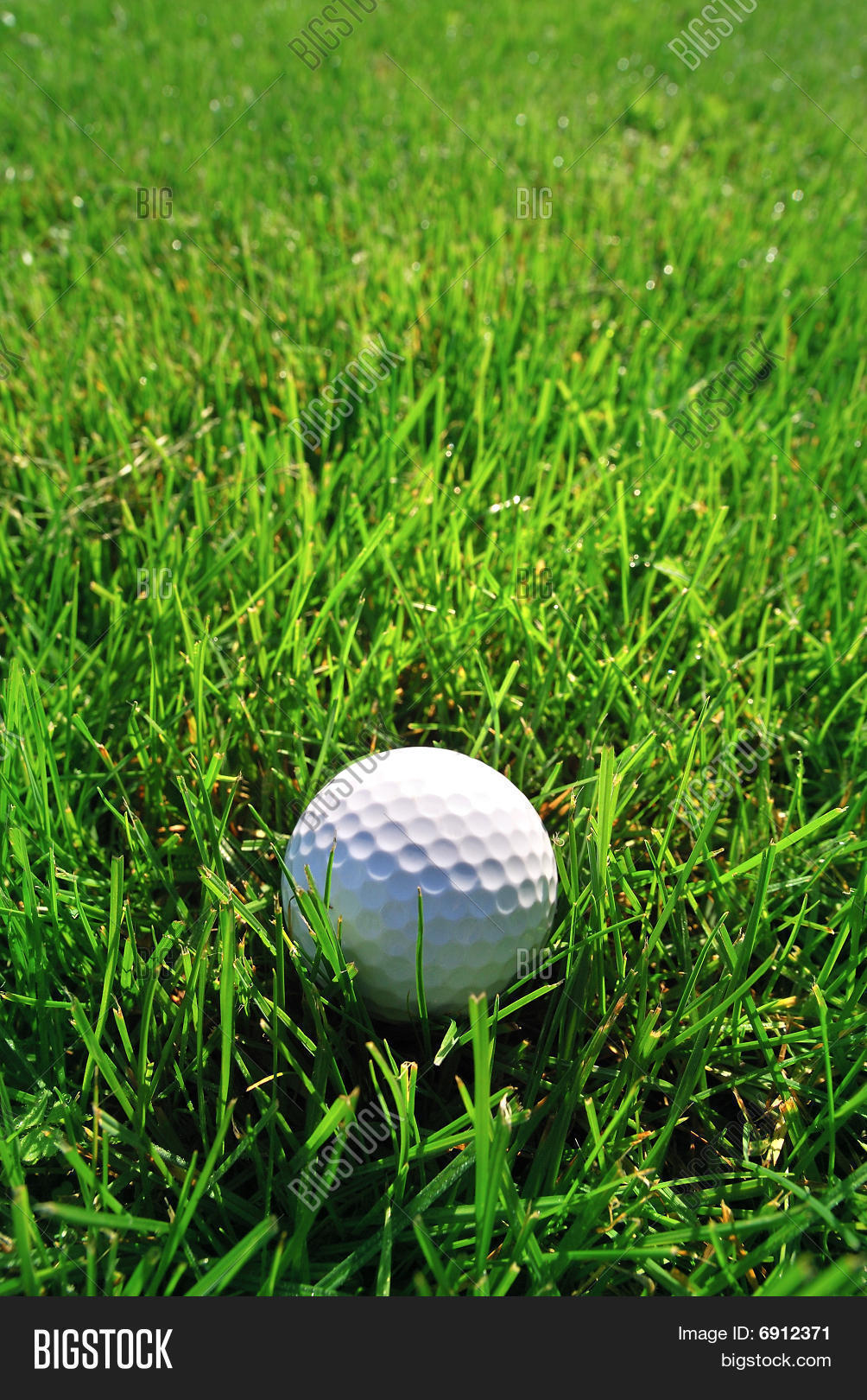 Golf Ball Image & Photo (Free Trial) | Bigstock