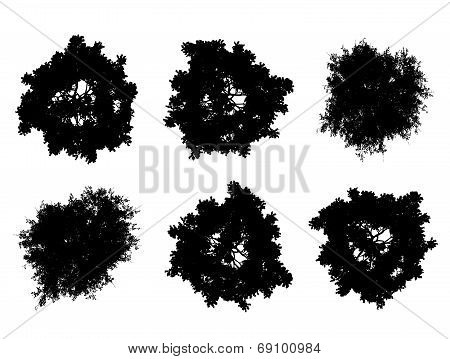 Tree Top Silhouettes Vector & Photo (Free Trial) | Bigstock