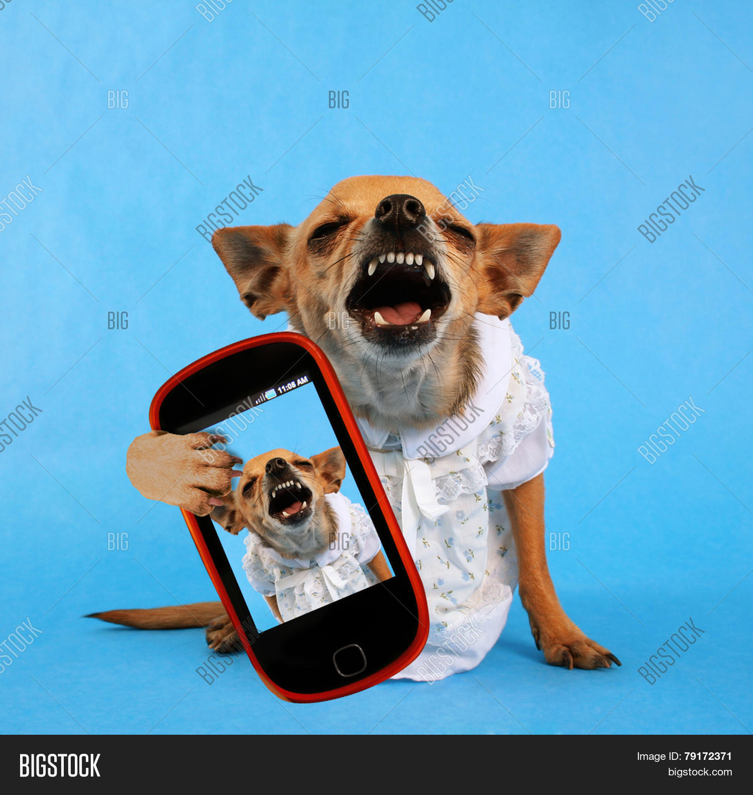 Tiny Laughing Image & Photo (Free Trial) | Bigstock