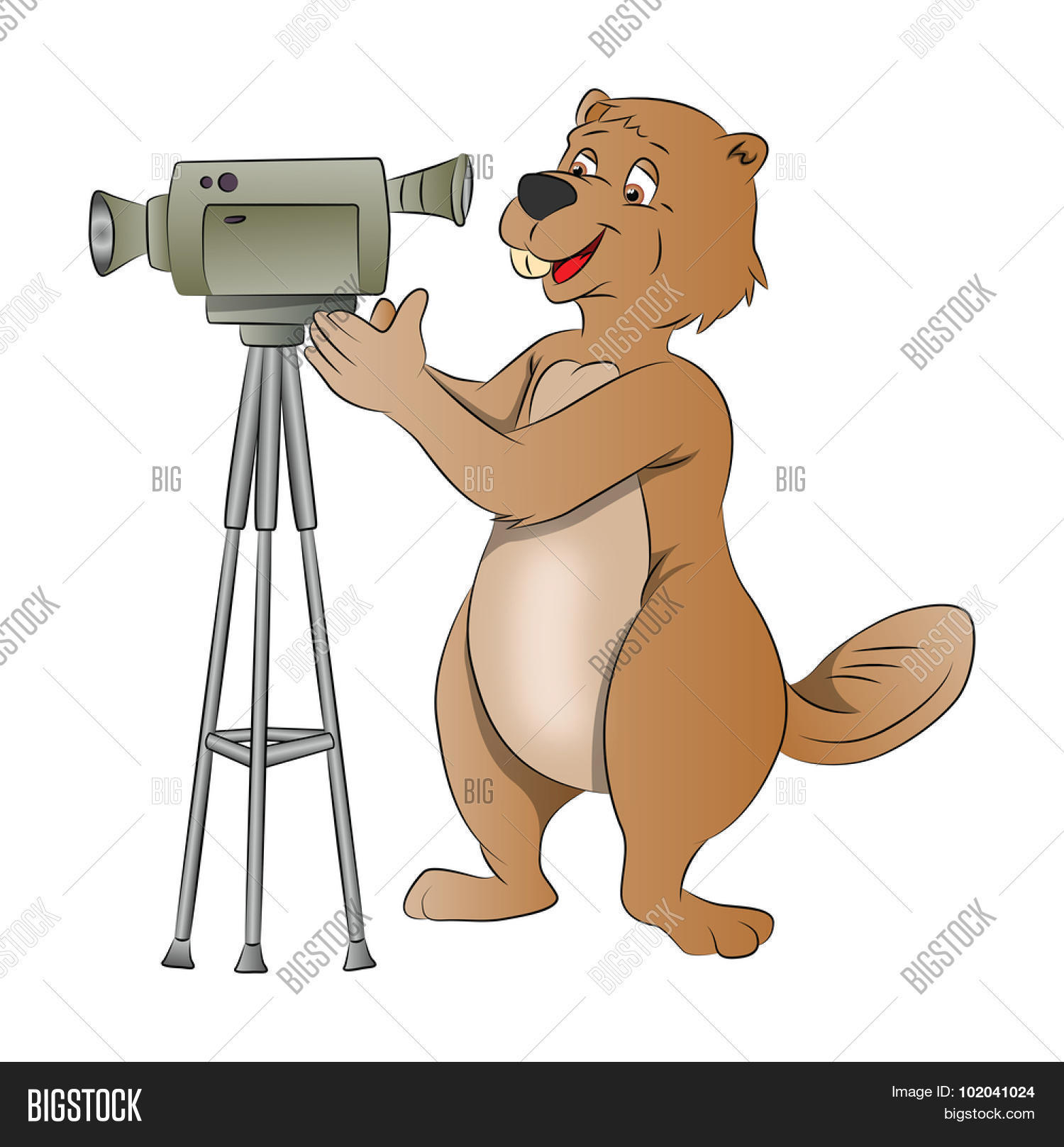 Beaver Using Video Vector & Photo (Free Trial) | Bigstock