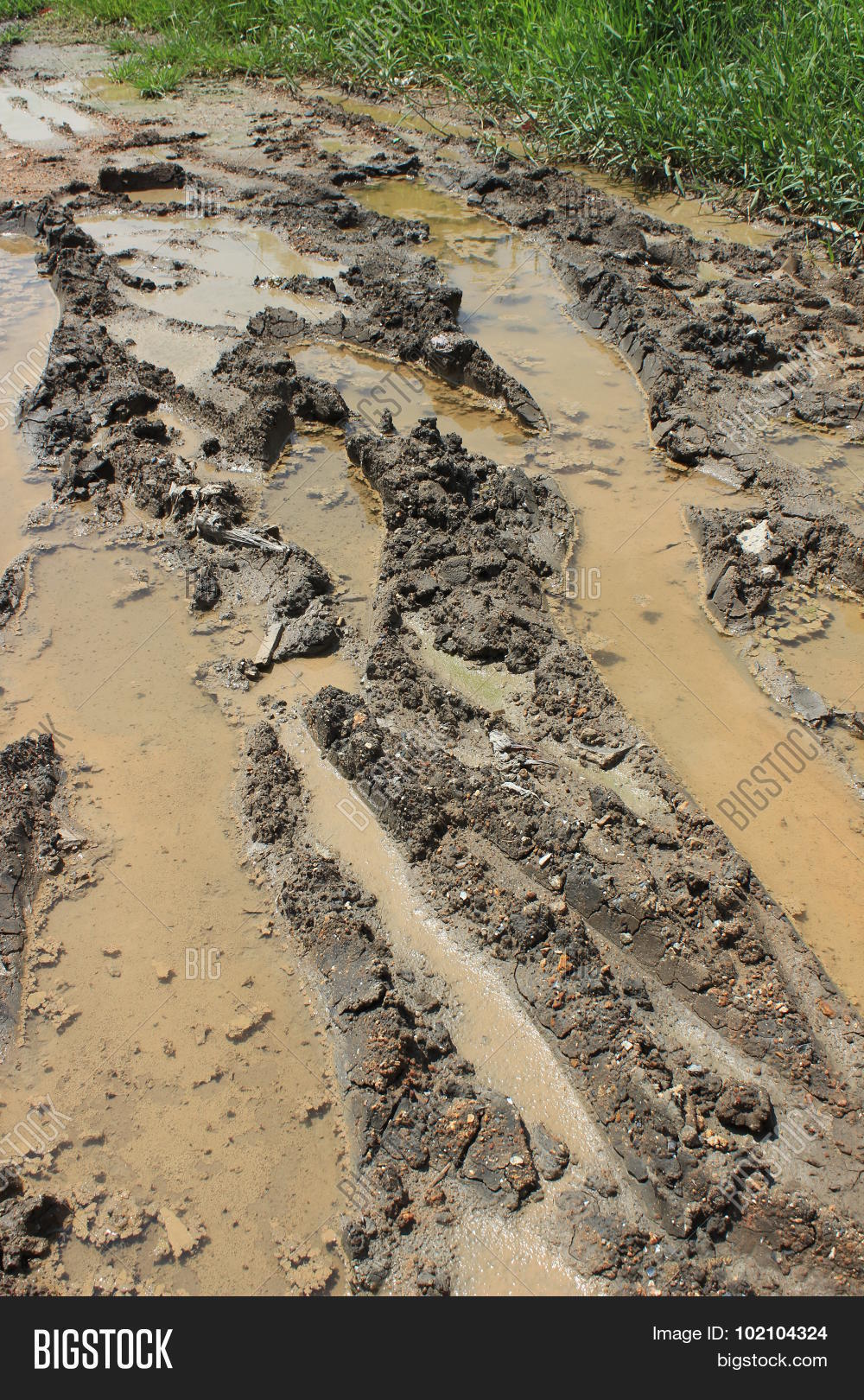 Wet Muddy Road Image & Photo (Free Trial) | Bigstock