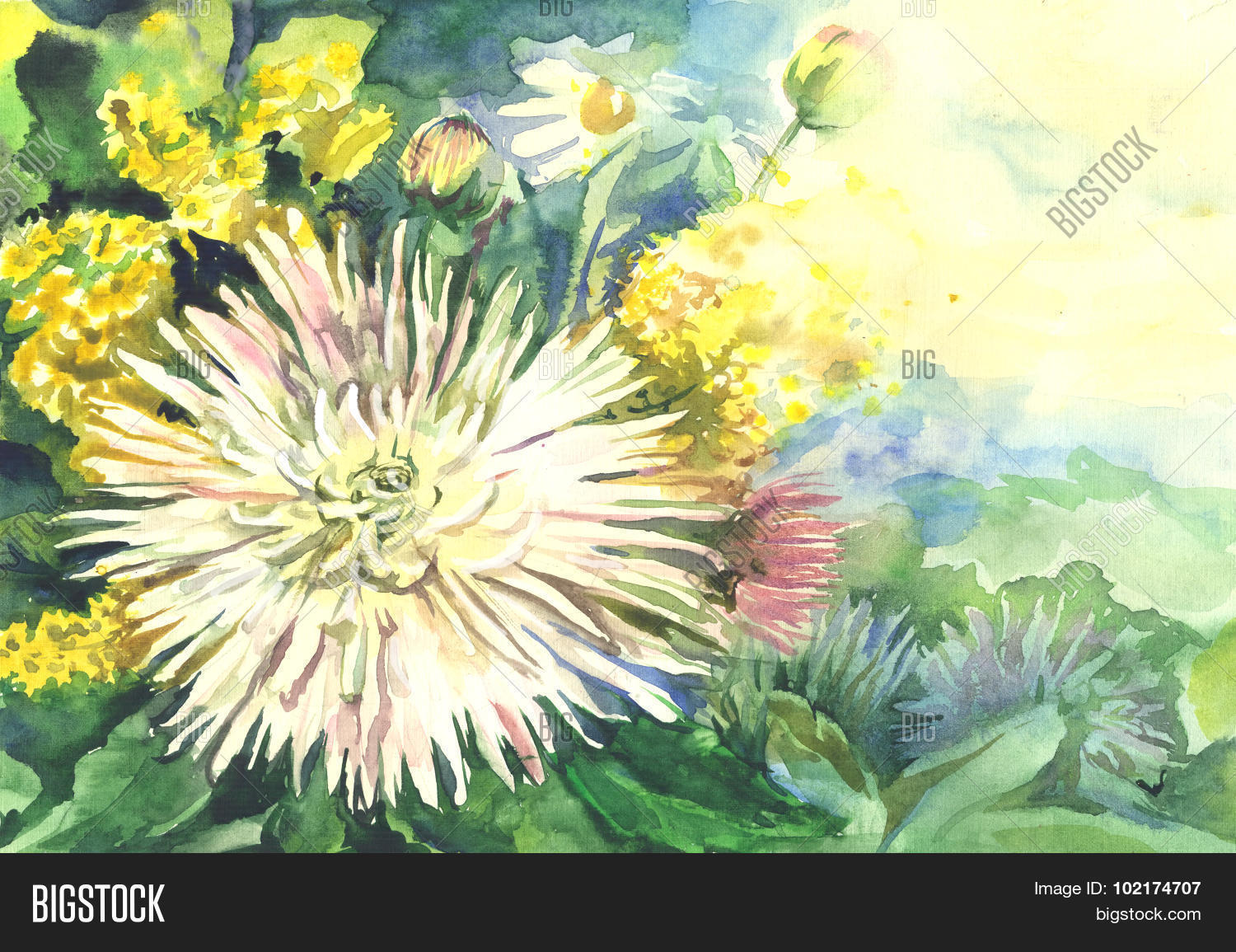 Watercolor Flowers Image & Photo (Free Trial) | Bigstock