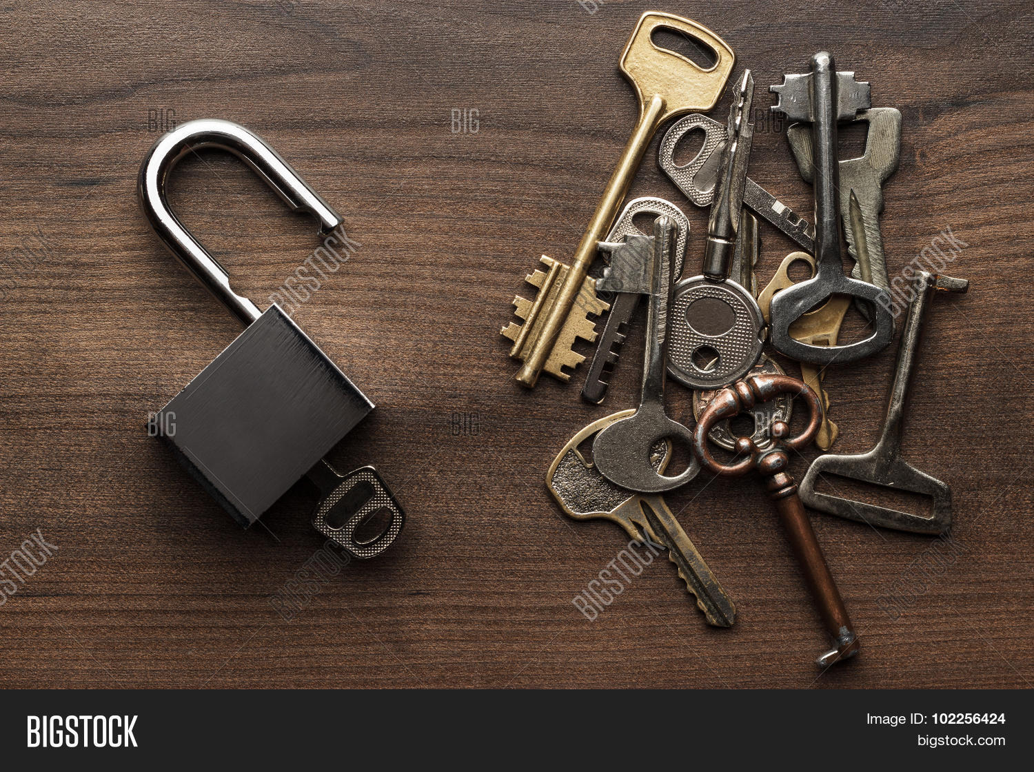 Opened Check-lock Image & Photo (Free Trial) | Bigstock