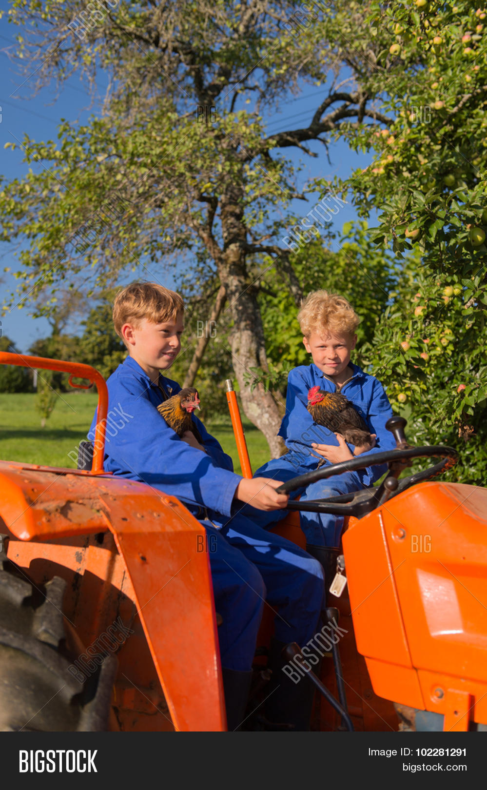 Farm Boys Chickens Image & Photo (Free Trial) | Bigstock
